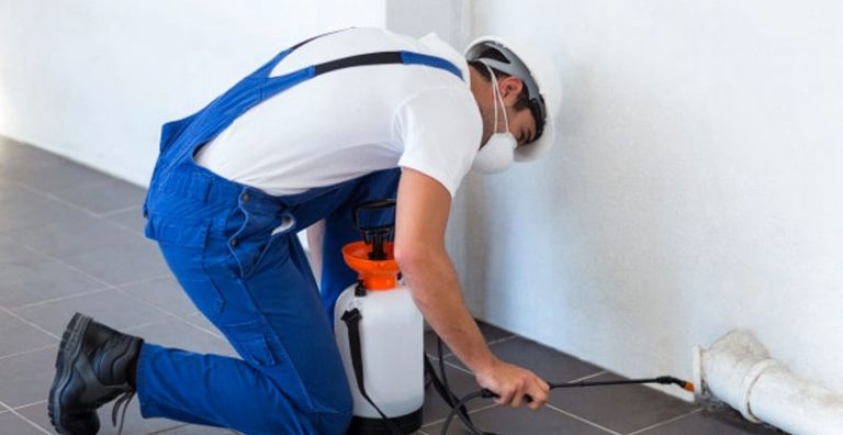 Moving Solutions Official Blog | Relocation Guides & Tips