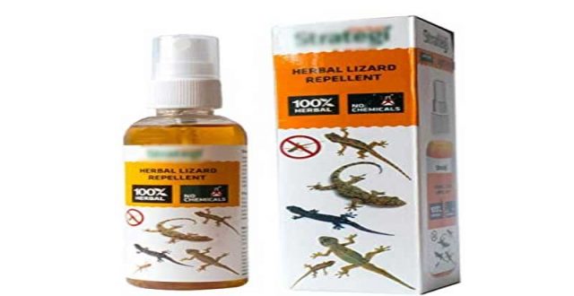 10 Lesser Known Effective Ways to Get Rid of Lizards