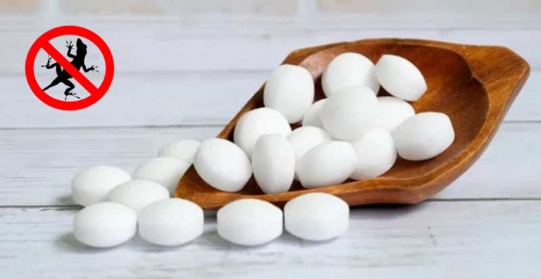 10 Lesser Known Effective Ways to Get Rid of Lizards